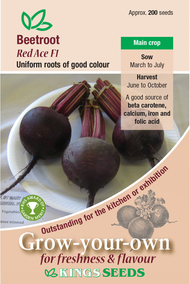 Beetroot Red Ace F1 by Kings Seeds | Mill Race Garden Centre