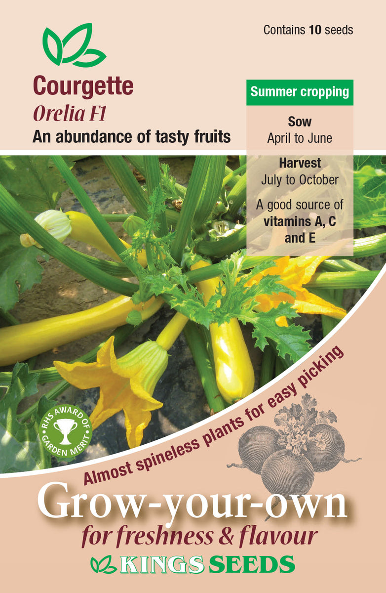 Courgette Orelia F1 by Kings Seeds | Mill Race Garden Centre