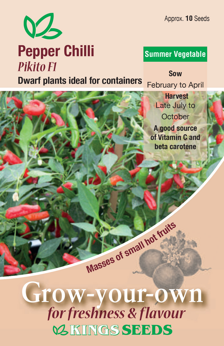 Chilli Pikito F1 Pepper by Kings Seeds | Mill Race Garden Centre