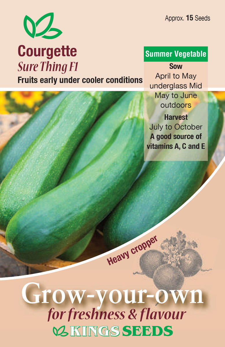 Courgette Sure Thing F1 | Mill Race Garden Centre