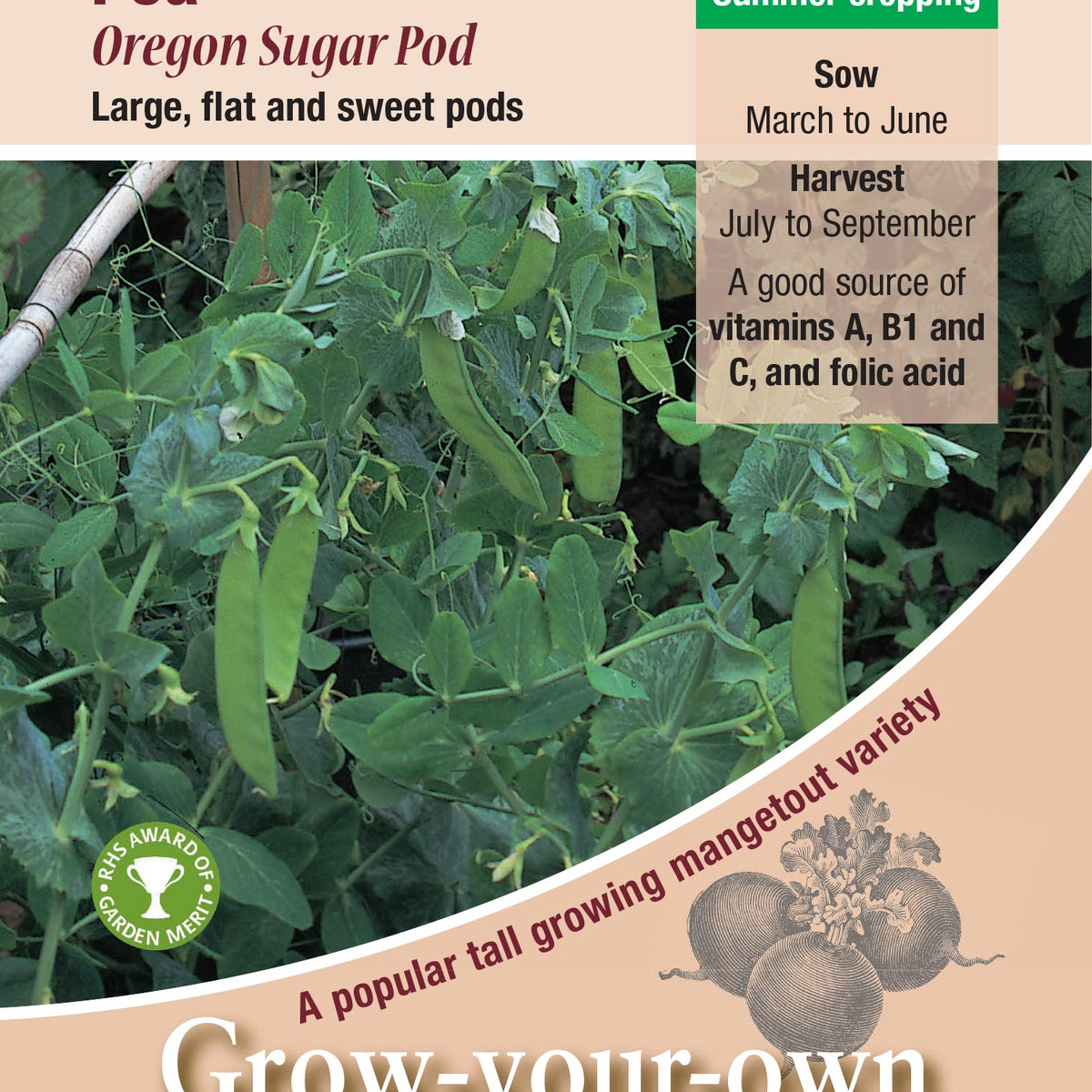 Pea Oregon Sugar Pod | Mill Race Garden Centre