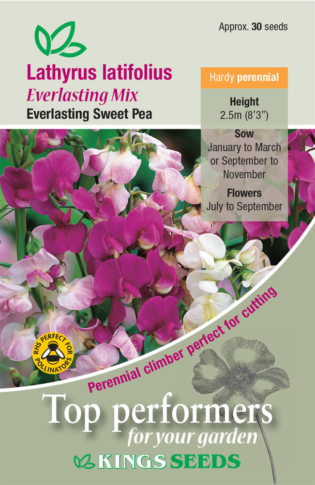 Lathyrus Latifolius Everlasting Mix by Kings Seeds | Mill Race Garden ...