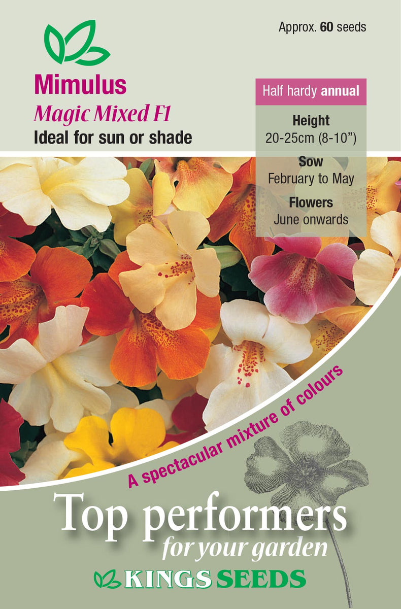 Mimulus Magic Mixed F1 by Kings Seeds | Mill Race Garden Centre