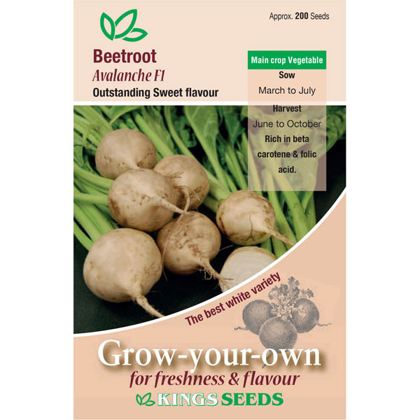 Beetroot Avalanche F1 | Mill Race Garden Centre