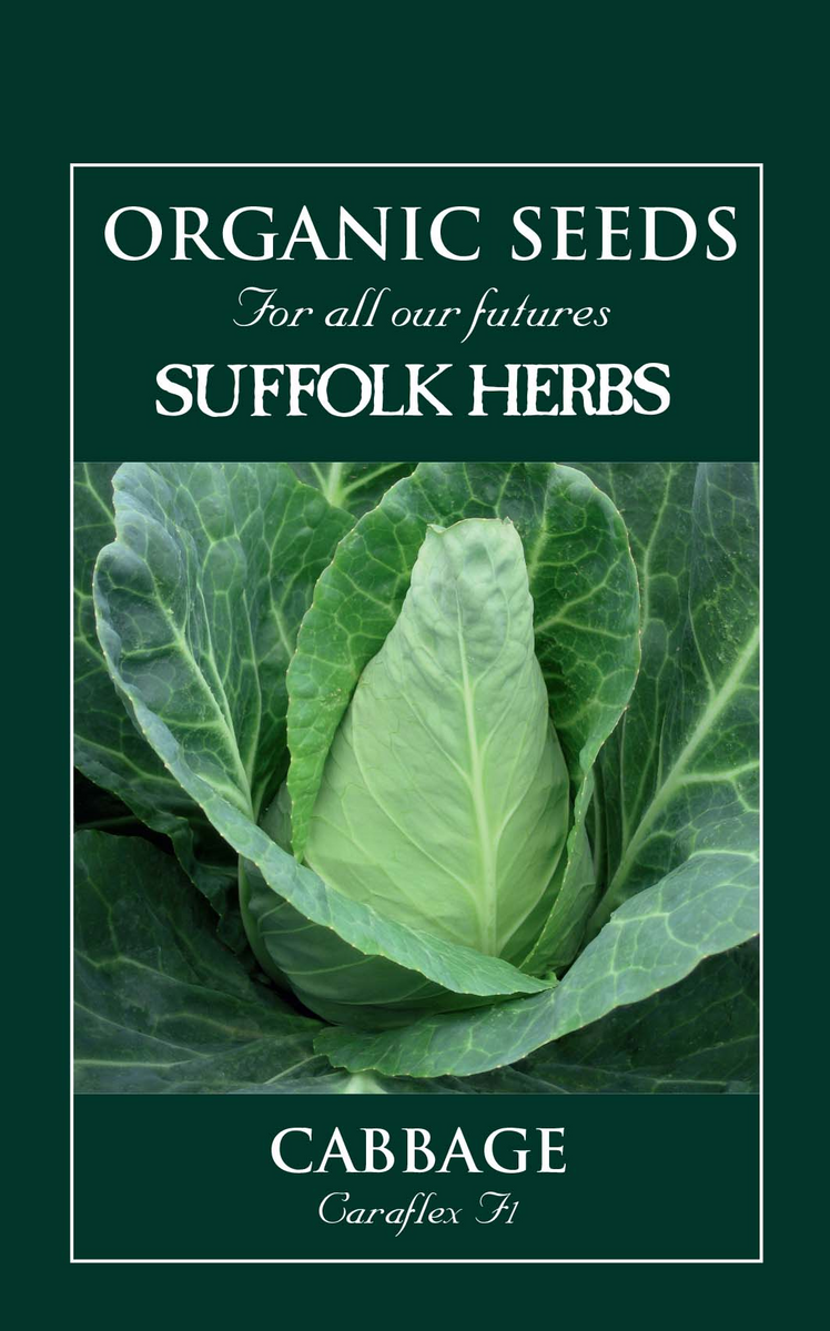 Cabbage Caraflex F1 | Mill Race Garden Centre