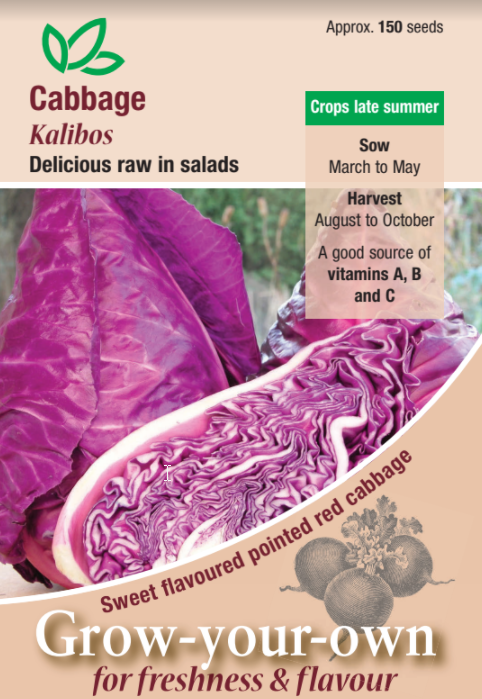 Cabbage Kalibos | Mill Race Garden Centre
