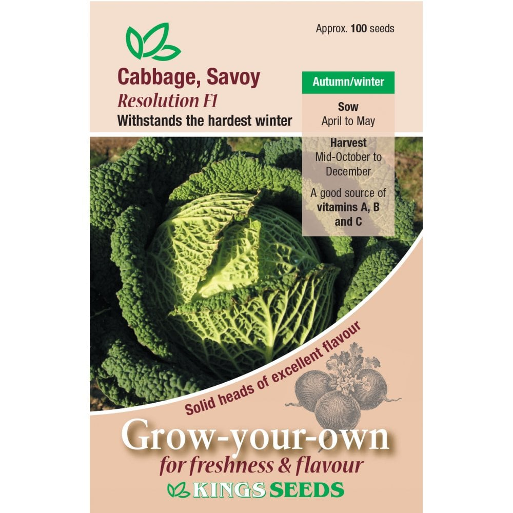 Cabbage Savoy Resolution F1 | Mill Race Garden Centre