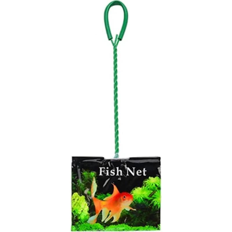 Fish Net Green 4'' | Mill Race Garden Centre