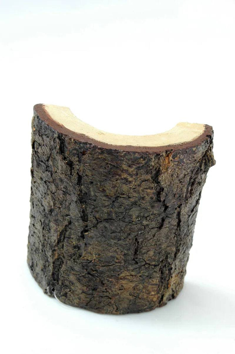 Mini Poly Resin Bark Effect Reptile Hide | Mill Race Garden Centre