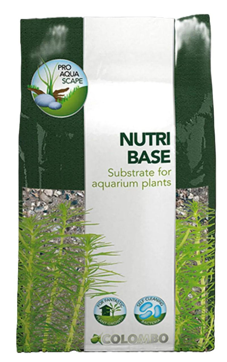 Colombo Flora Nutri Base 5 Litre | Mill Race Garden Centre