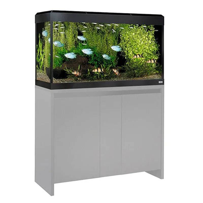 Fluval Roma 200L LED Bluetooth Black Aquarium | Mill Race Garden Centre
