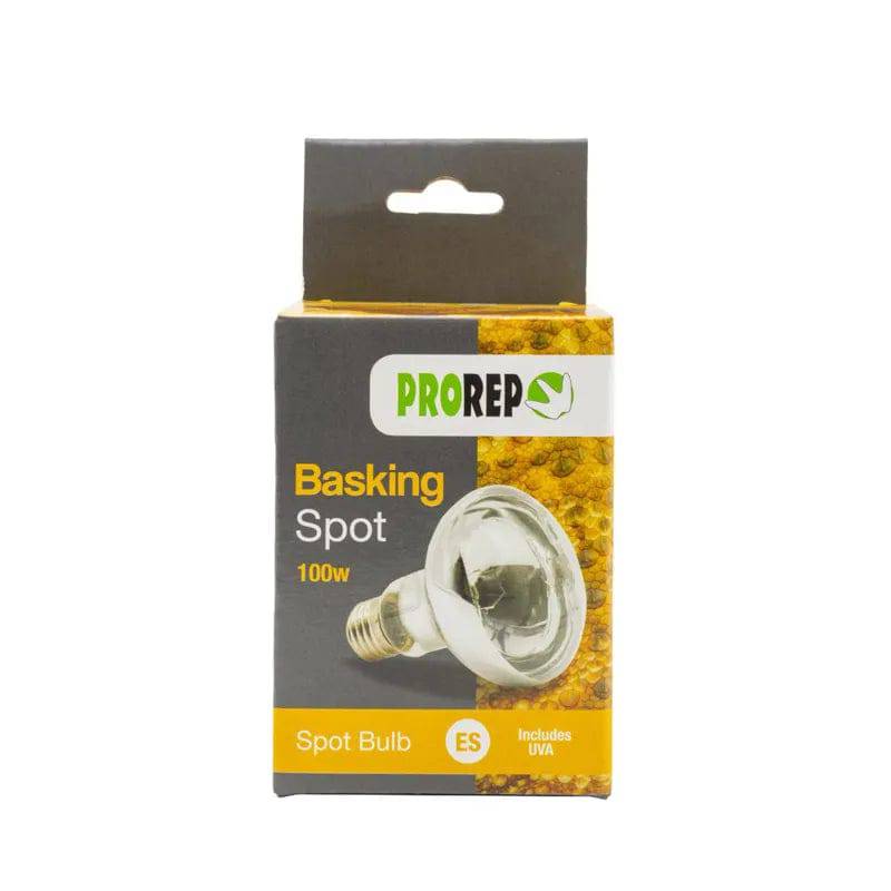 100w Spot Bulb Screw In | Mill Race Garden Centre