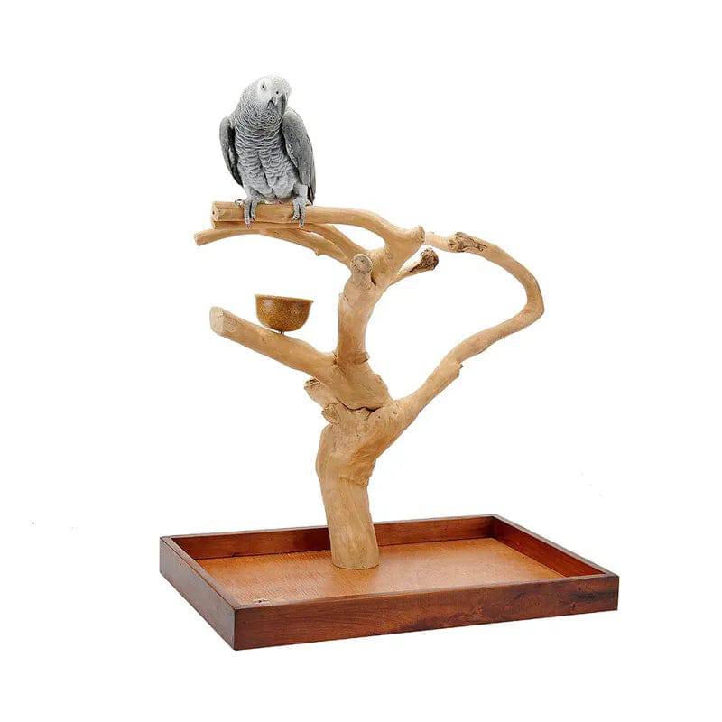 Sky Pets Java Mini Tree Medium | Mill Race Garden Centre