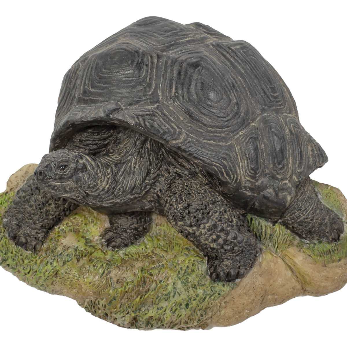 Crawling Tortoise Magnet | Vivid Arts Resin Garden & Fridge Décor